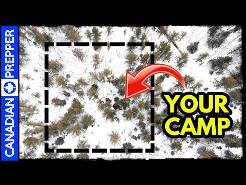 Best Trip Wire Alarms to Set a Perimeter | TruePrepper