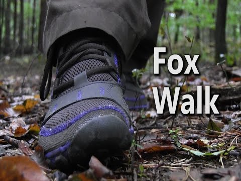 Best Quiet Shoes for Silent Stalking | TruePrepper