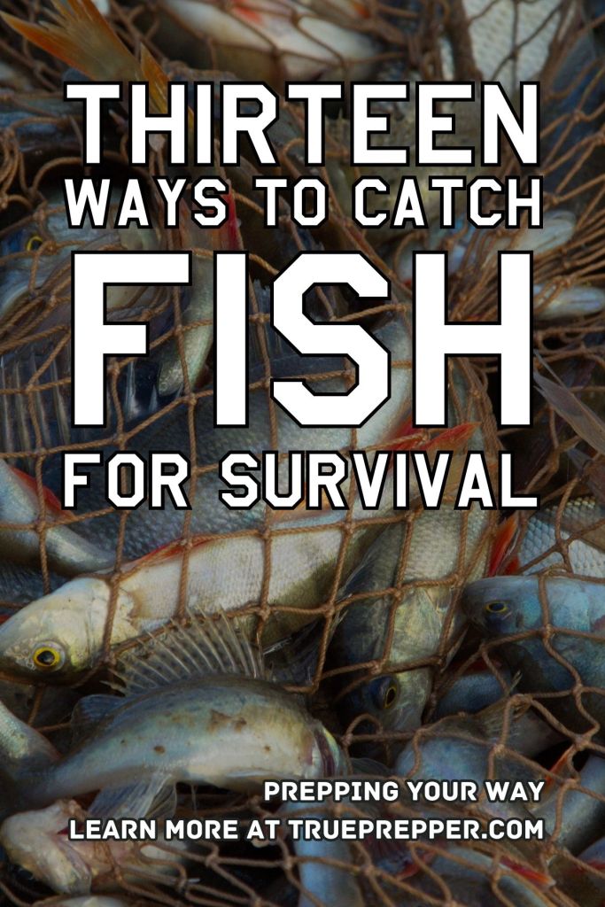 13 Ways to Catch Fish For Survival | TruePrepper