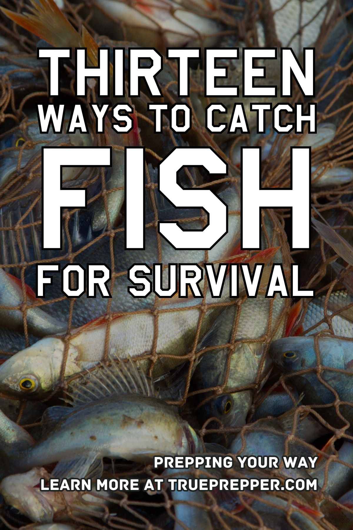 13 Ways to Catch Fish For Survival | TruePrepper