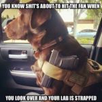 105 Prepper Memes | Survival Meme Library | TruePrepper