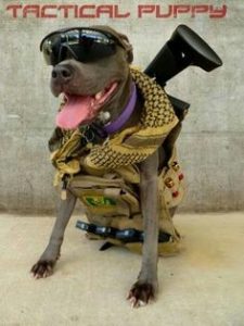 105 Prepper Memes | Survival Meme Library | TruePrepper