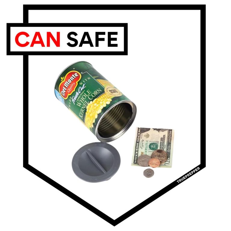 10 Best Diversion Safes for Hiding Valuables in Plain Sight | TruePrepper