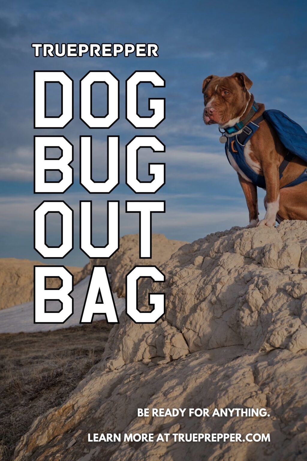 Dog Bug Out Bag Guide, Gear List, and Checklist | TruePrepper