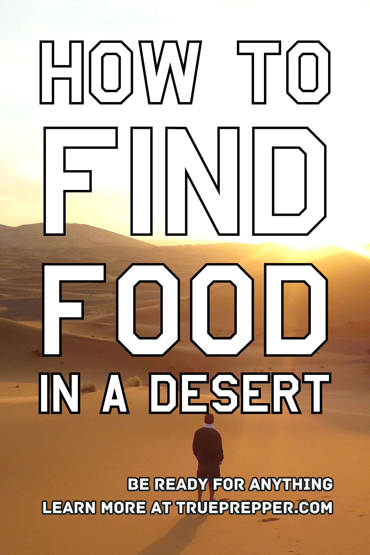 Finding Food in a Desert: Hunt, Forage, and Survive | TruePrepper