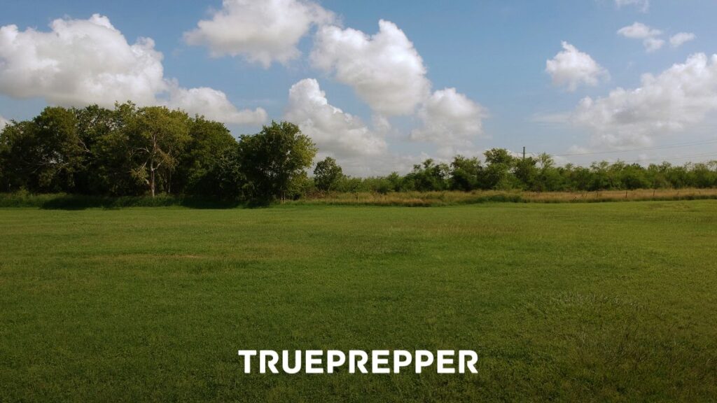 How to Get Free Land in the US (and Canada) | TruePrepper