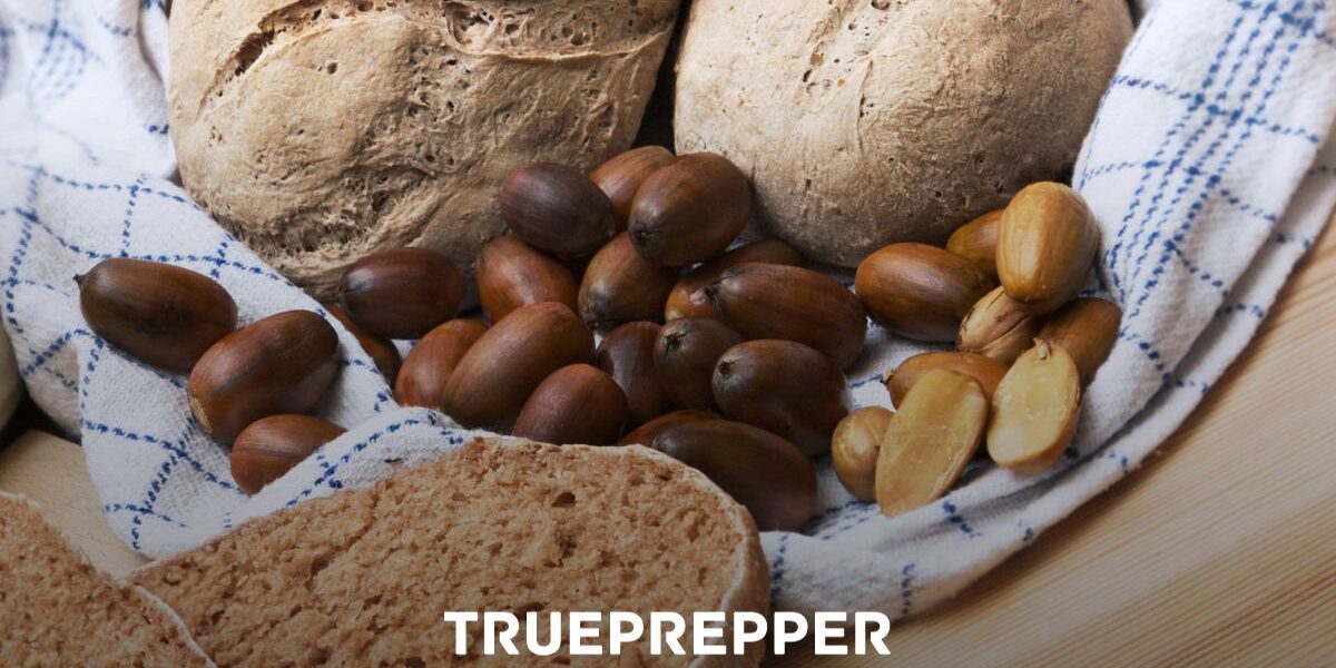 How to Make Acorn Bread | TruePrepper