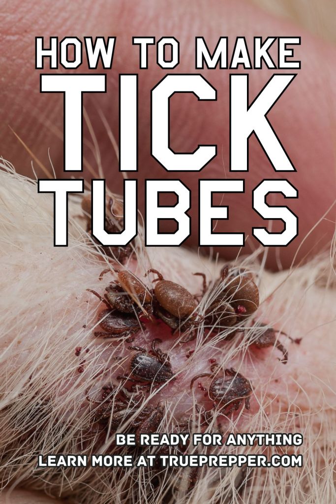 How to Make Homemade Tick Tubes | TruePrepper
