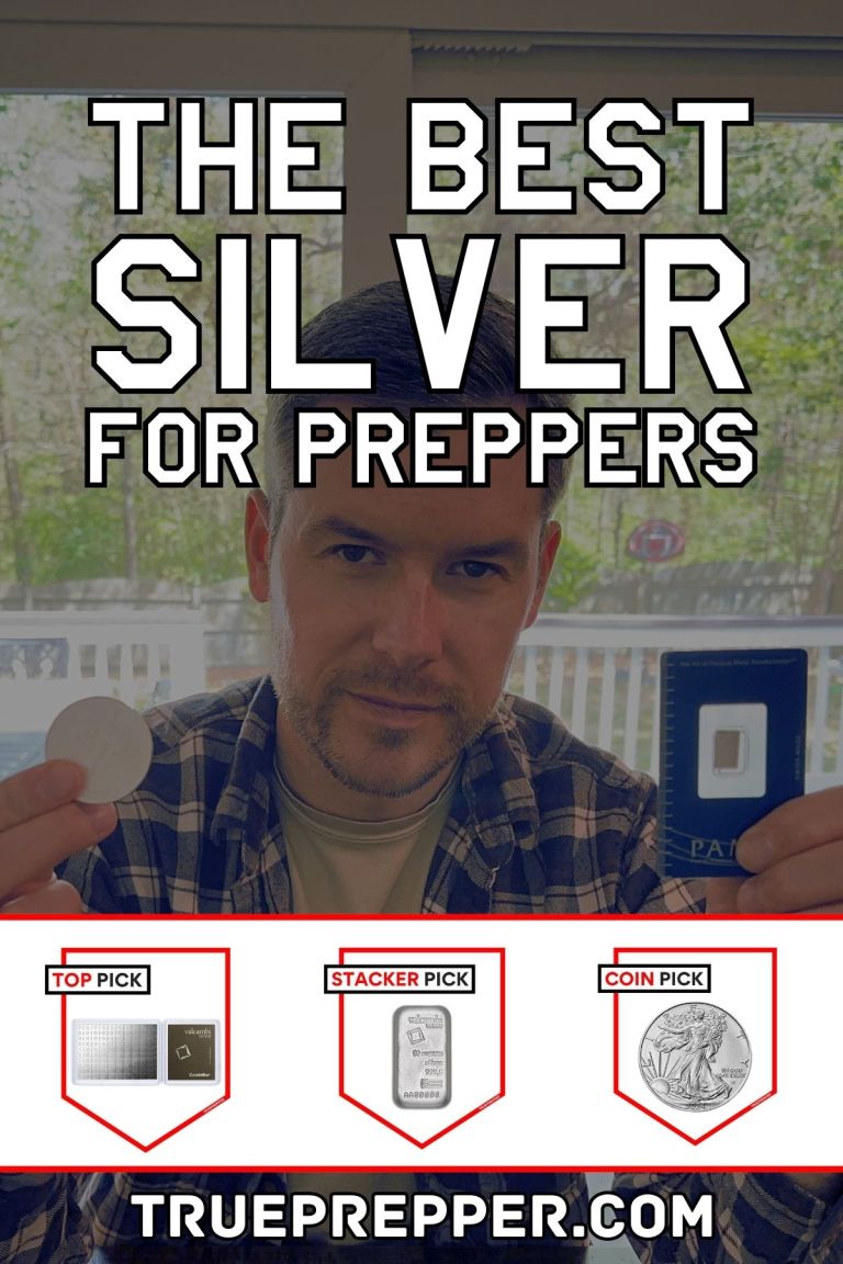 Best Silver for Prepping and Survival | Coins & Bars | TruePrepper