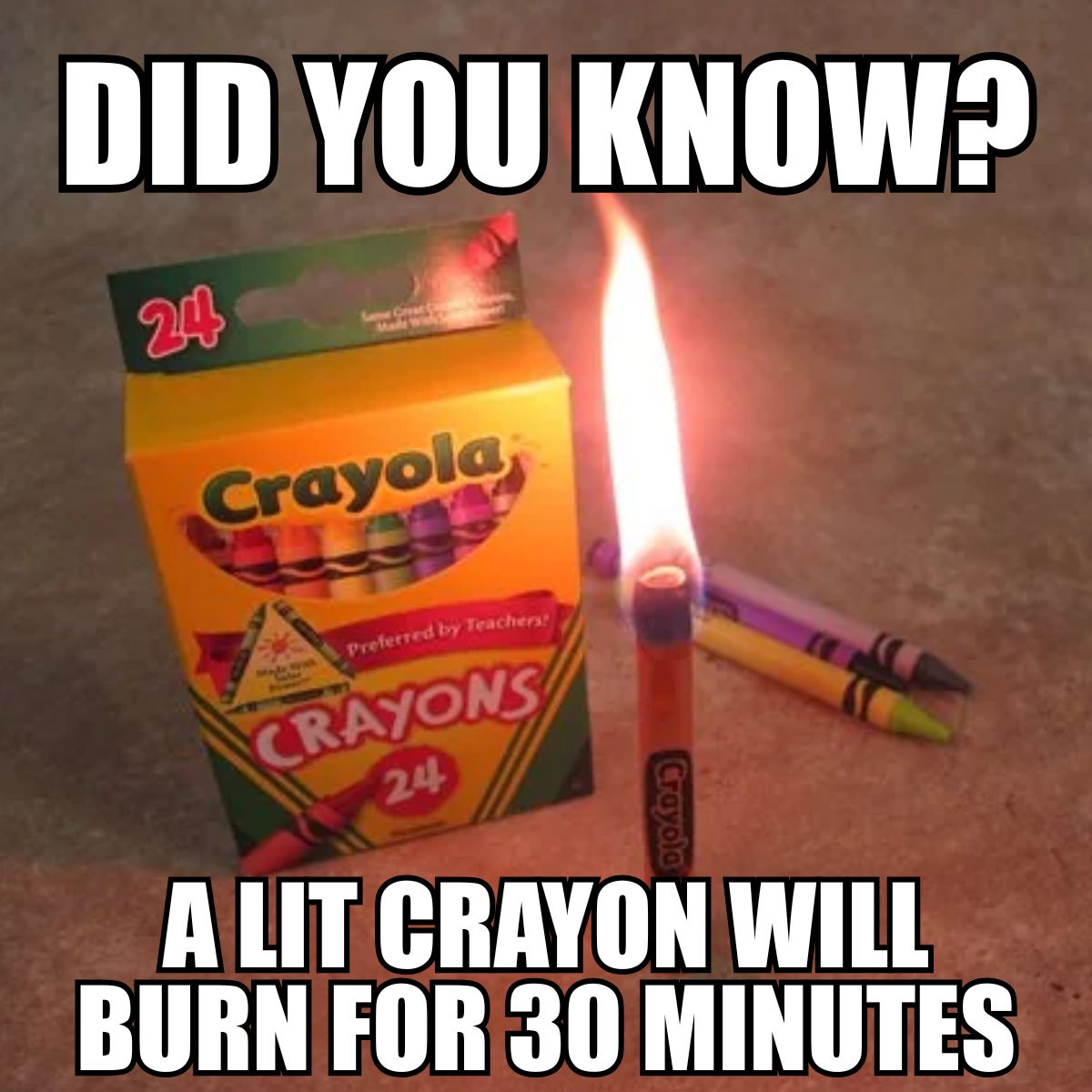 Top 10 Prepping and Survival Memes | TruePrepper