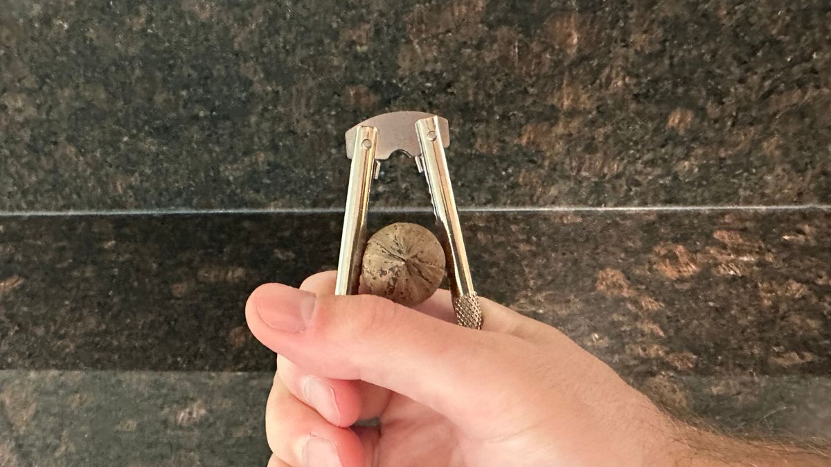 Best Nutcracker Tool for Pecans, Walnuts, and Acorns | TruePrepper