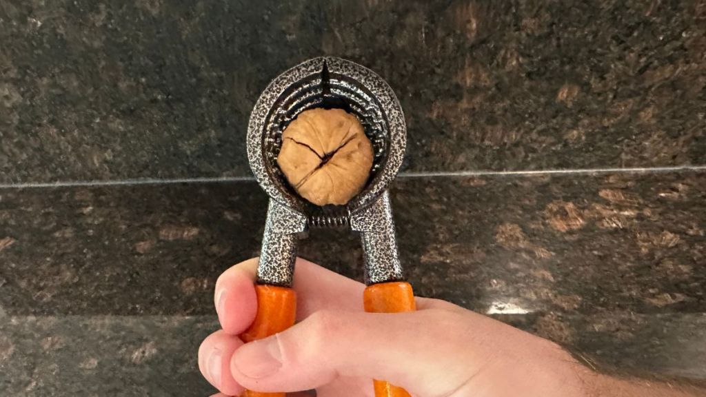 Best Nutcracker Tool for Pecans, Walnuts, and Acorns | TruePrepper