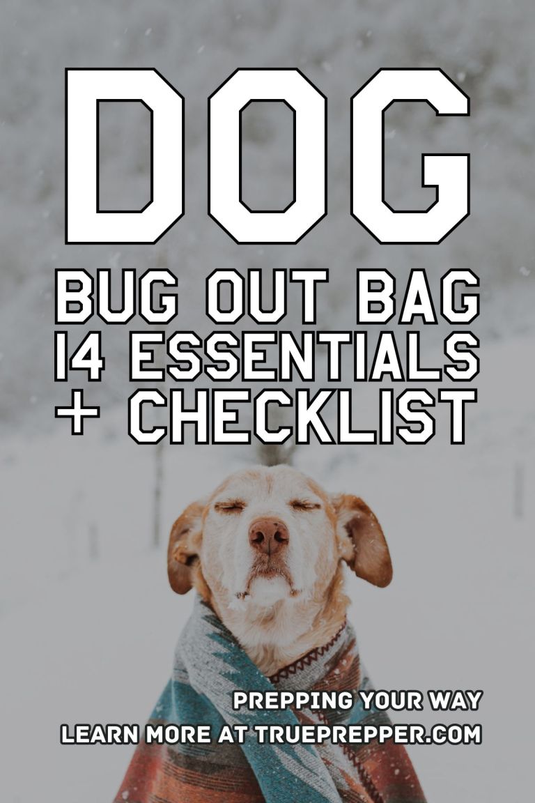Dog Bug Out Bag | 14 Essential Items | TruePrepper
