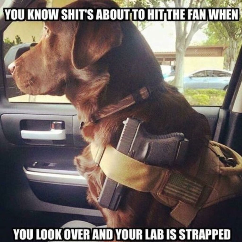 Top 10 Prepping and Survival Memes | TruePrepper