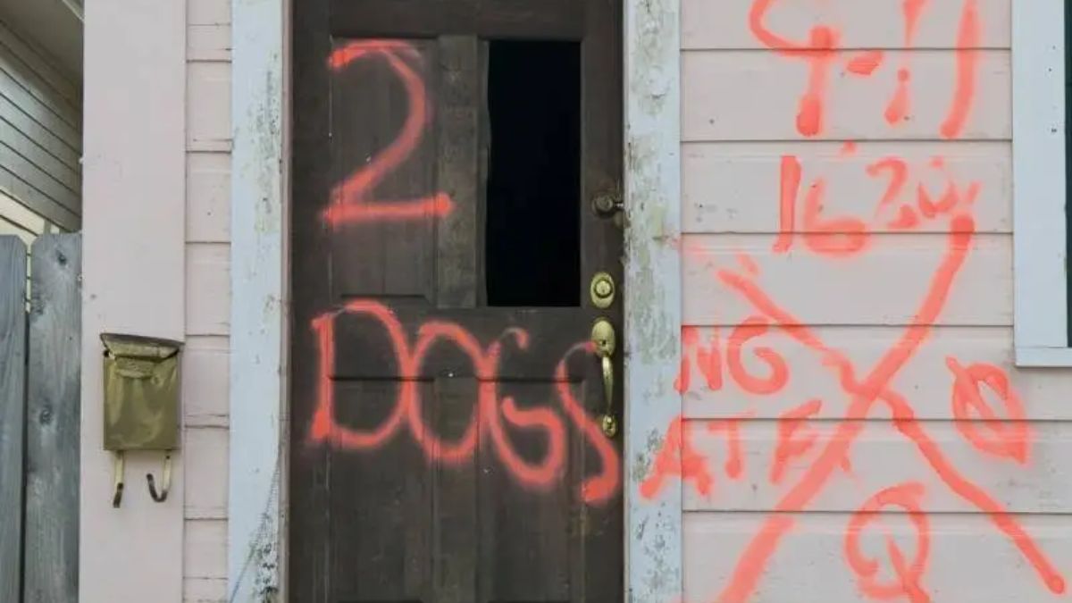 Urban Search and Rescue Markings | TruePrepper