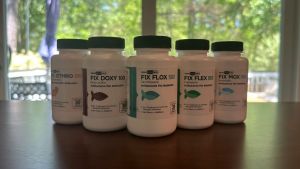 Best Emergency Antibiotics Kit to Stock for a Crisis | TruePrepper