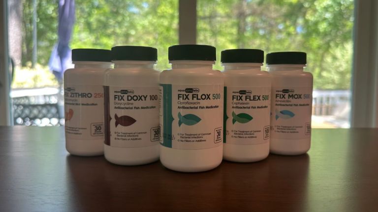 Best Emergency Antibiotics Kit to Stock for a Crisis | TruePrepper