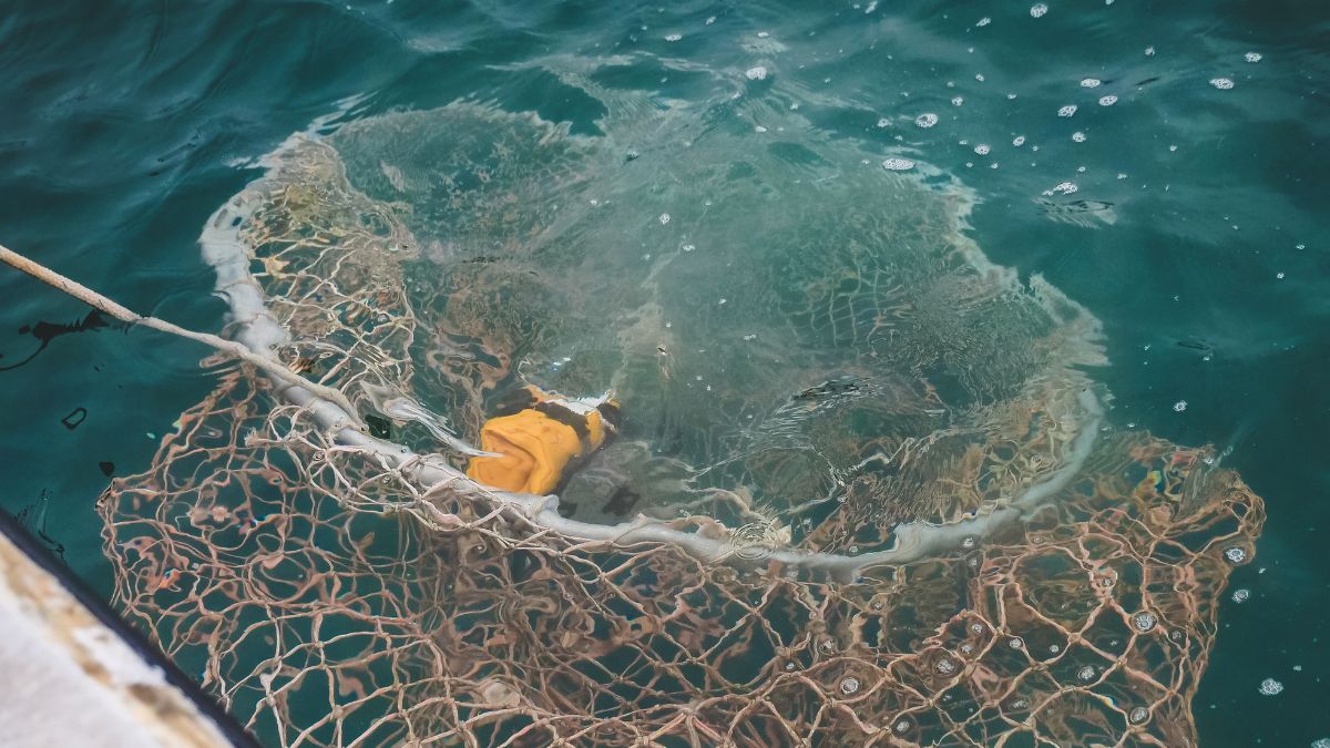 13 Ways to Catch Fish For Survival | TruePrepper