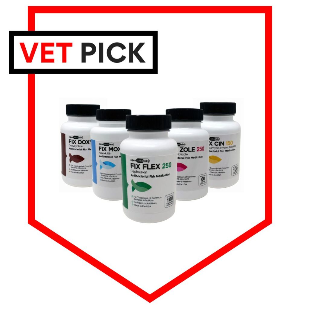 Best Antibiotics Kit to Stock for Emergencies | TruePrepper