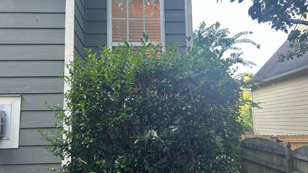 TruePrepper | Practical Prepping Guides and Survival Gear Reviews