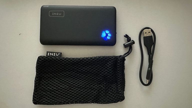 Best Phone Power Bank for Charging Emergencies | TruePrepper