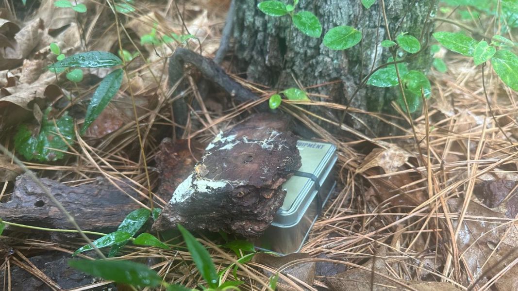 Survival Caches and Resource Dispersal | TruePrepper