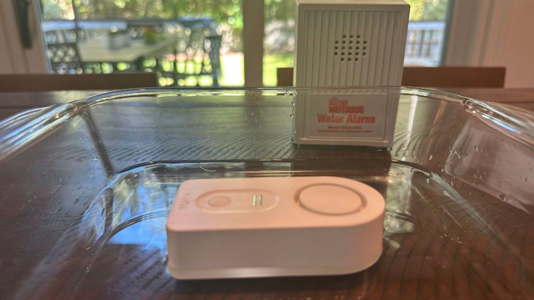 Best Water Leak Alarm for Floods and Emergencies | TruePrepper