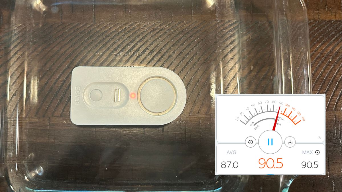 Best Water Leak Alarm for Floods and Emergencies | TruePrepper